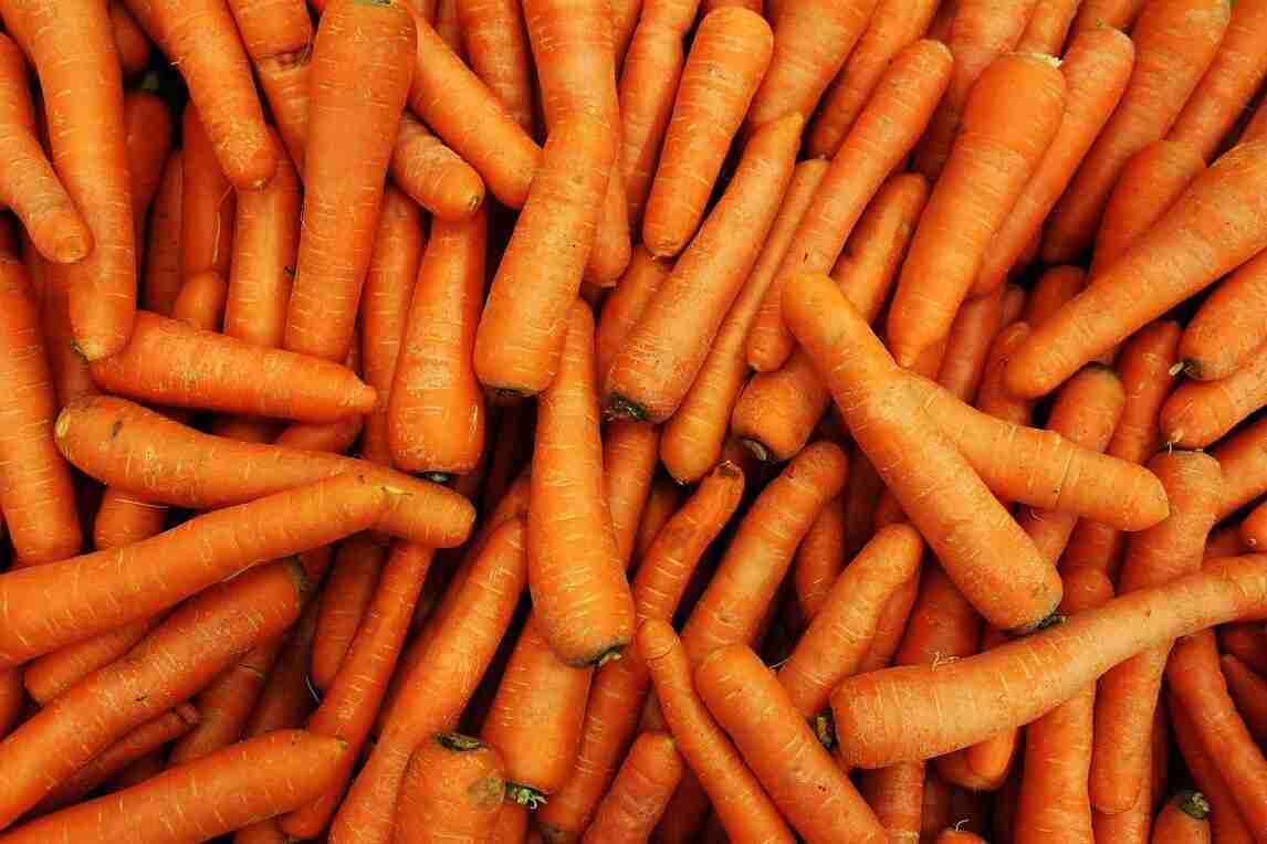 The Skin-Boosting Benefits of Carrots: – The Radiant Glo